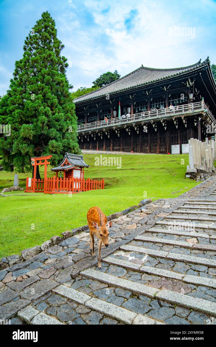 Todaiji Nigatsudo February Hall temple in Nara, Japan Stock Photo - Alamy