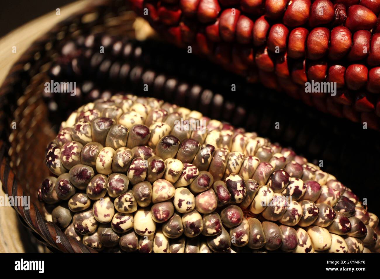Peruvian corn or cuzco corn hi-res stock photography and images - Alamy