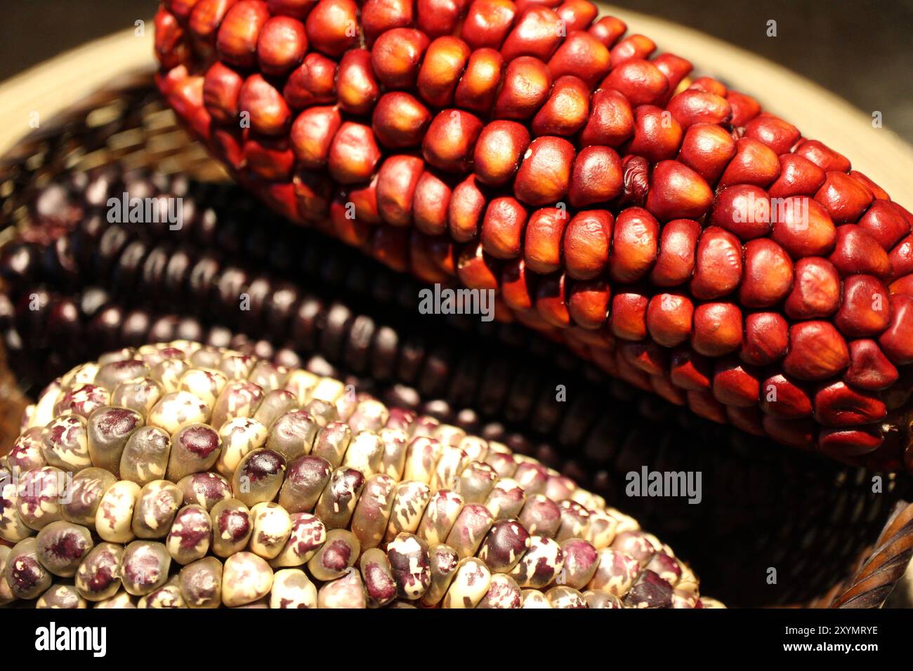 Peruvian corn or cuzco corn hi-res stock photography and images - Alamy
