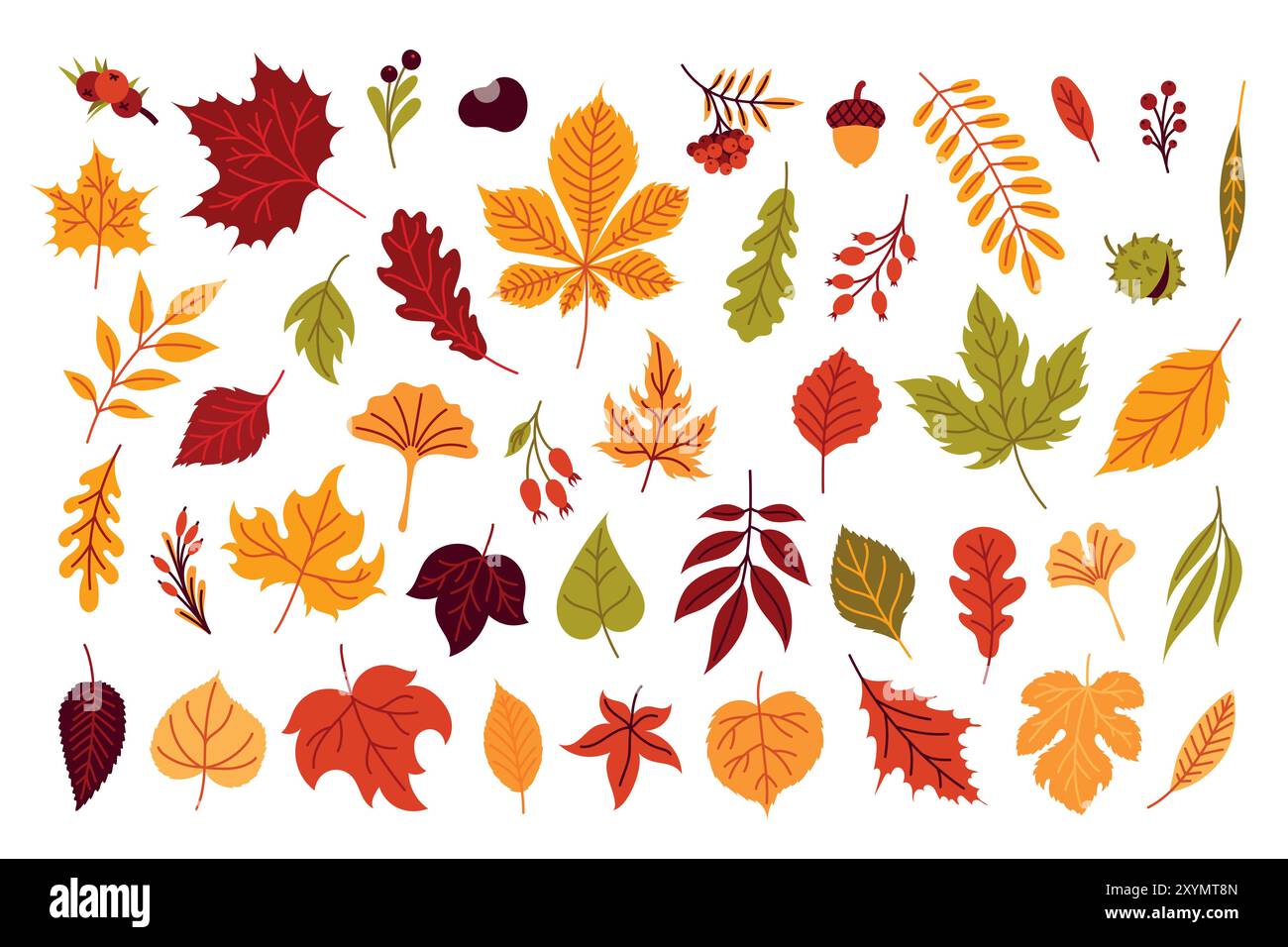 Yellow and orange leaves on a tree branch Stock Vector Images - Alamy