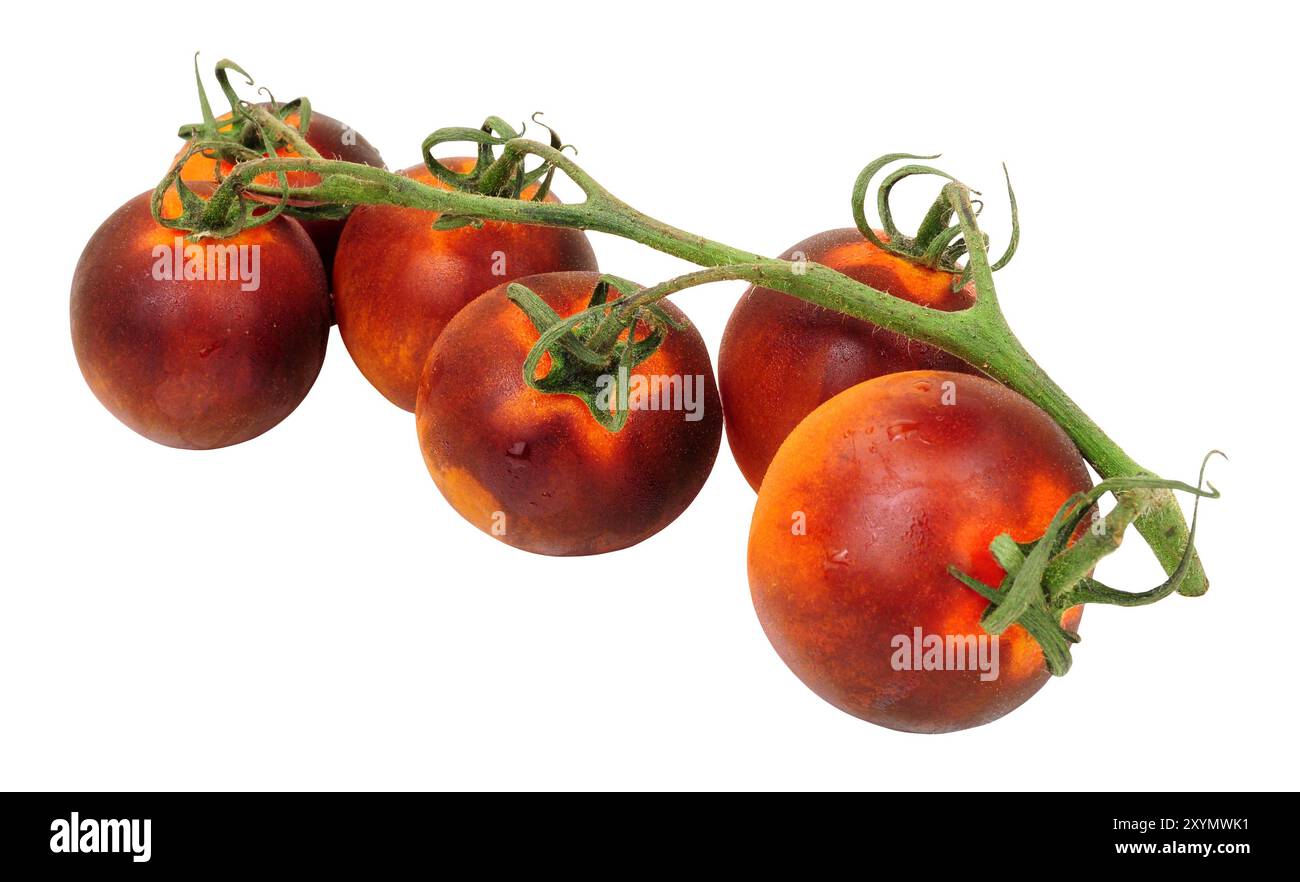 Umami tomato hi-res stock photography and images - Alamy