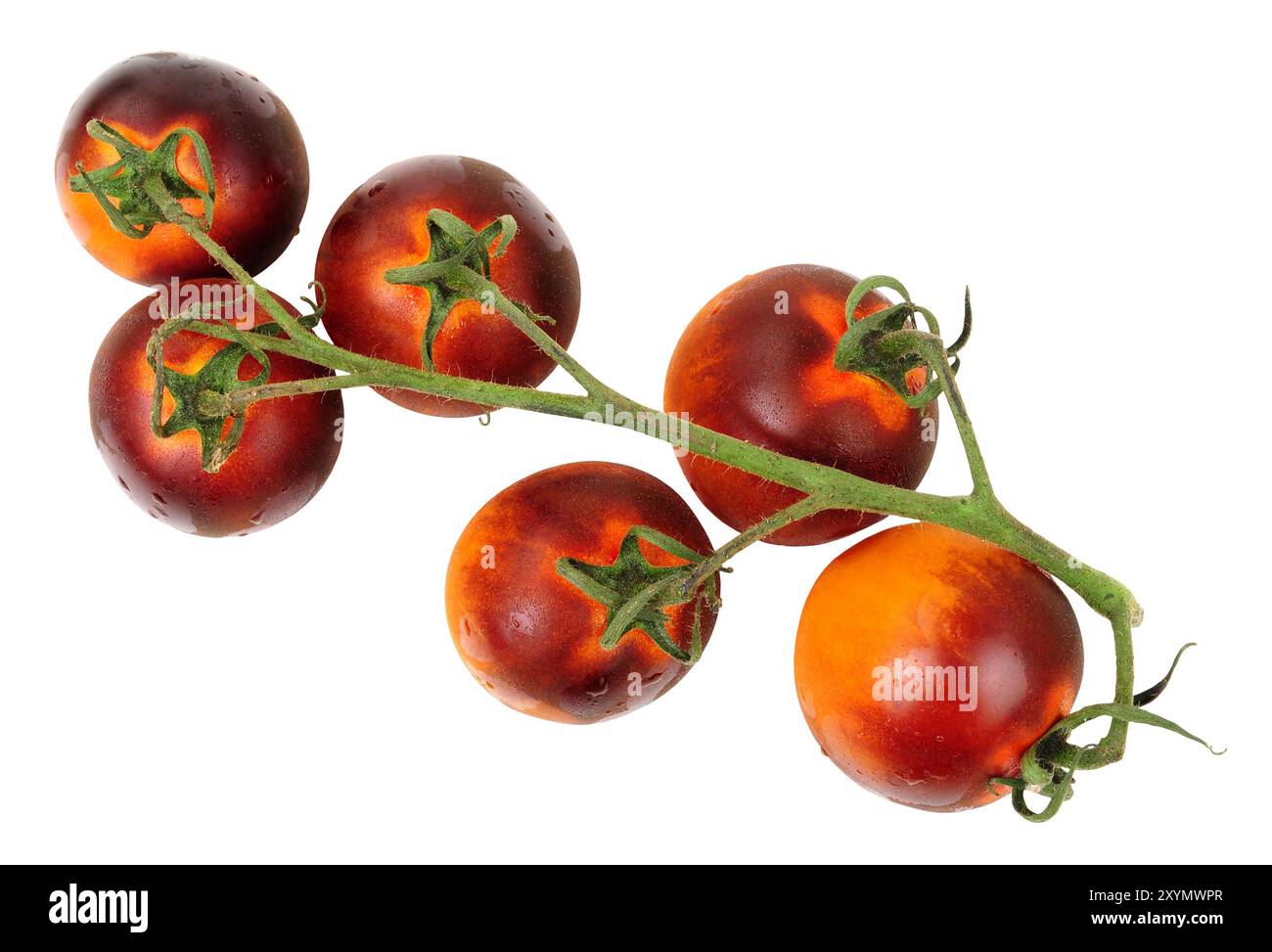 Umami tomato hi-res stock photography and images - Alamy
