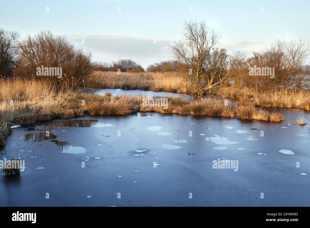 Frozen wild lake in winter before sunset Stock Photo - Alamy
