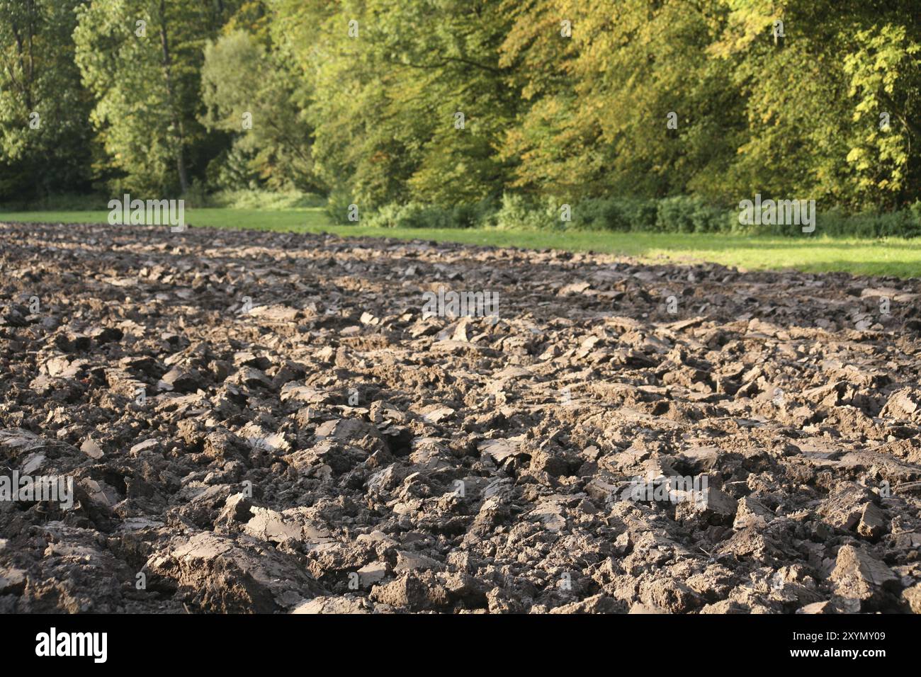 Agriculture arable land topsoil hi-res stock photography and images - Alamy