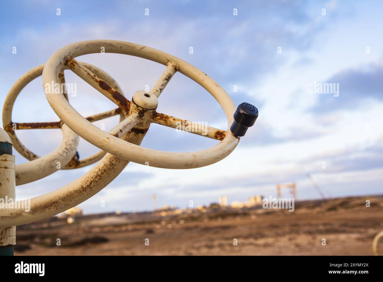 Steer steering steers hi-res stock photography and images - Alamy