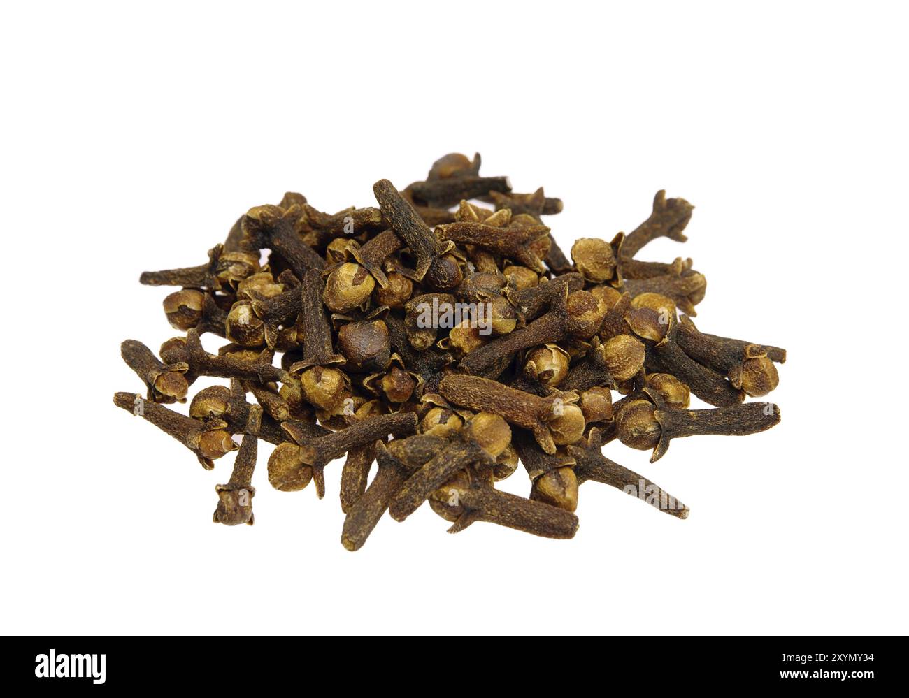 Clove, Clove 01 Stock Photo - Alamy