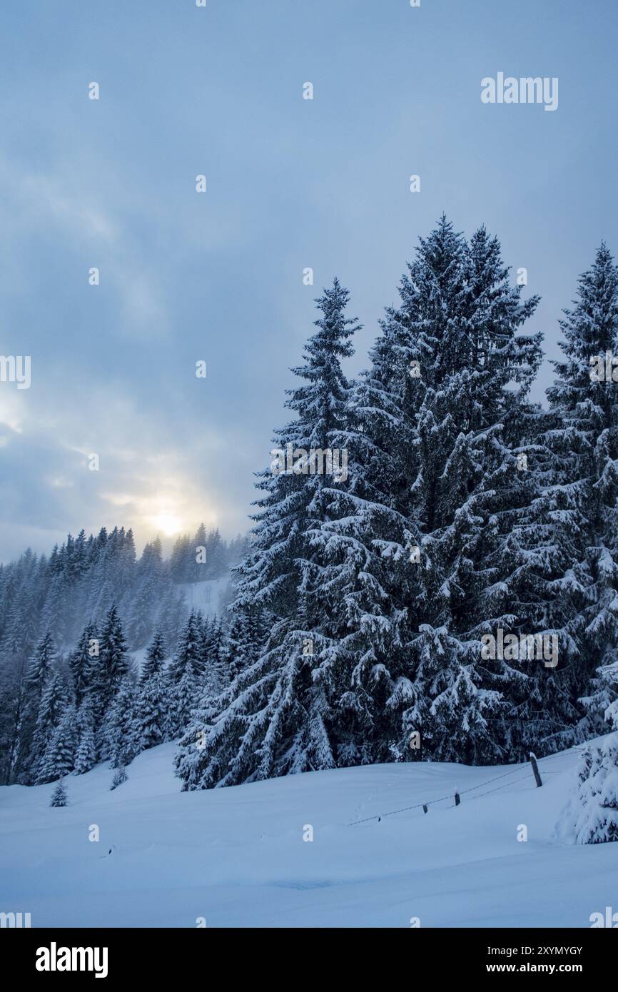 Winter landscape with sun Stock Photo - Alamy