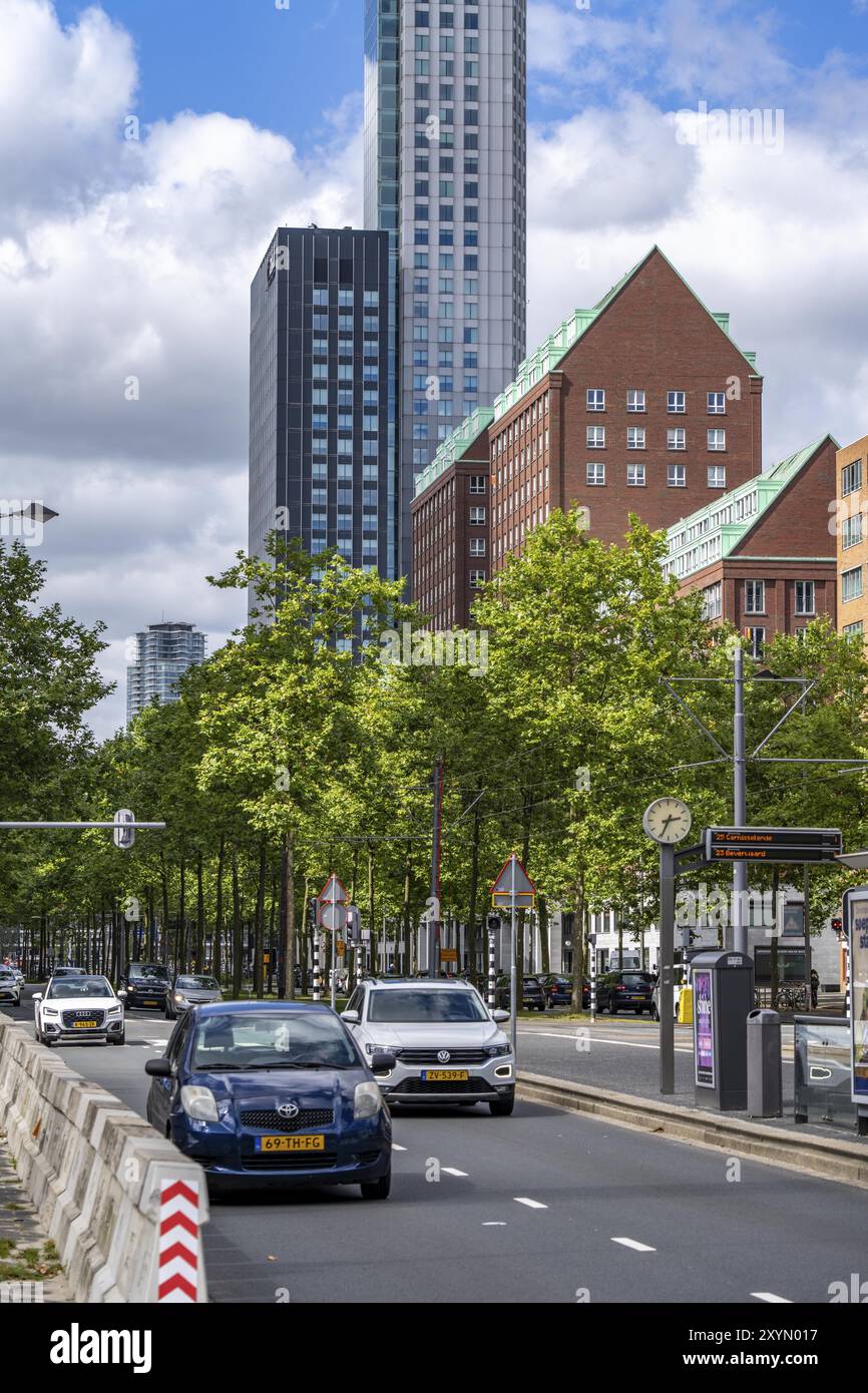 Urban greening, inner-city street Laan op Zuid, in Rotterdam's ...