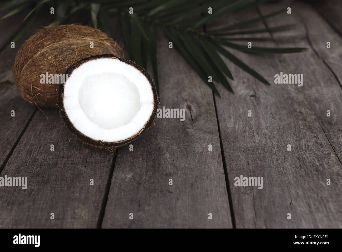 Broken coconuts on gray wooden background with palm leaf. White coconut ...