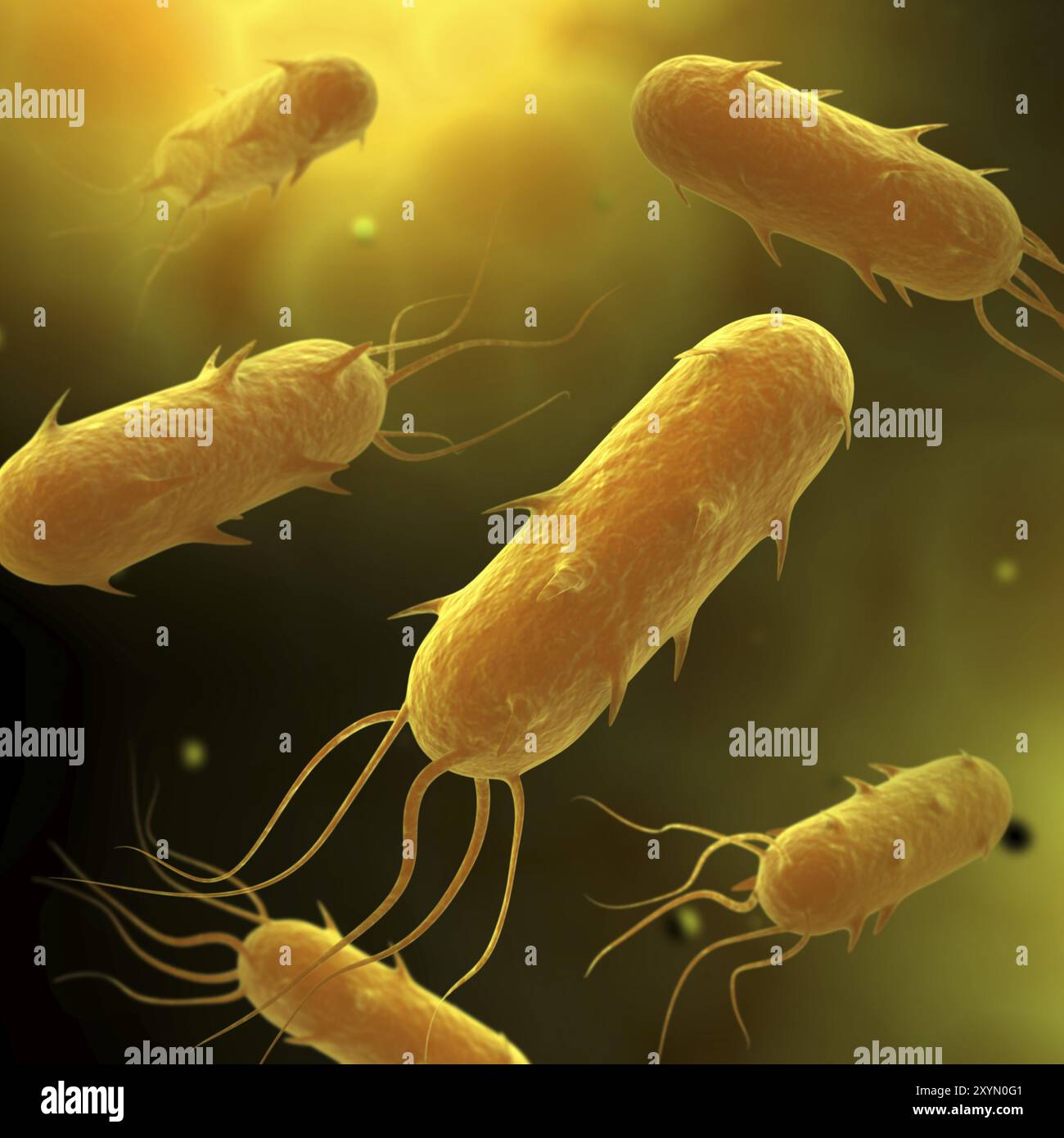 Flagellate microorganisms hi-res stock photography and images - Alamy