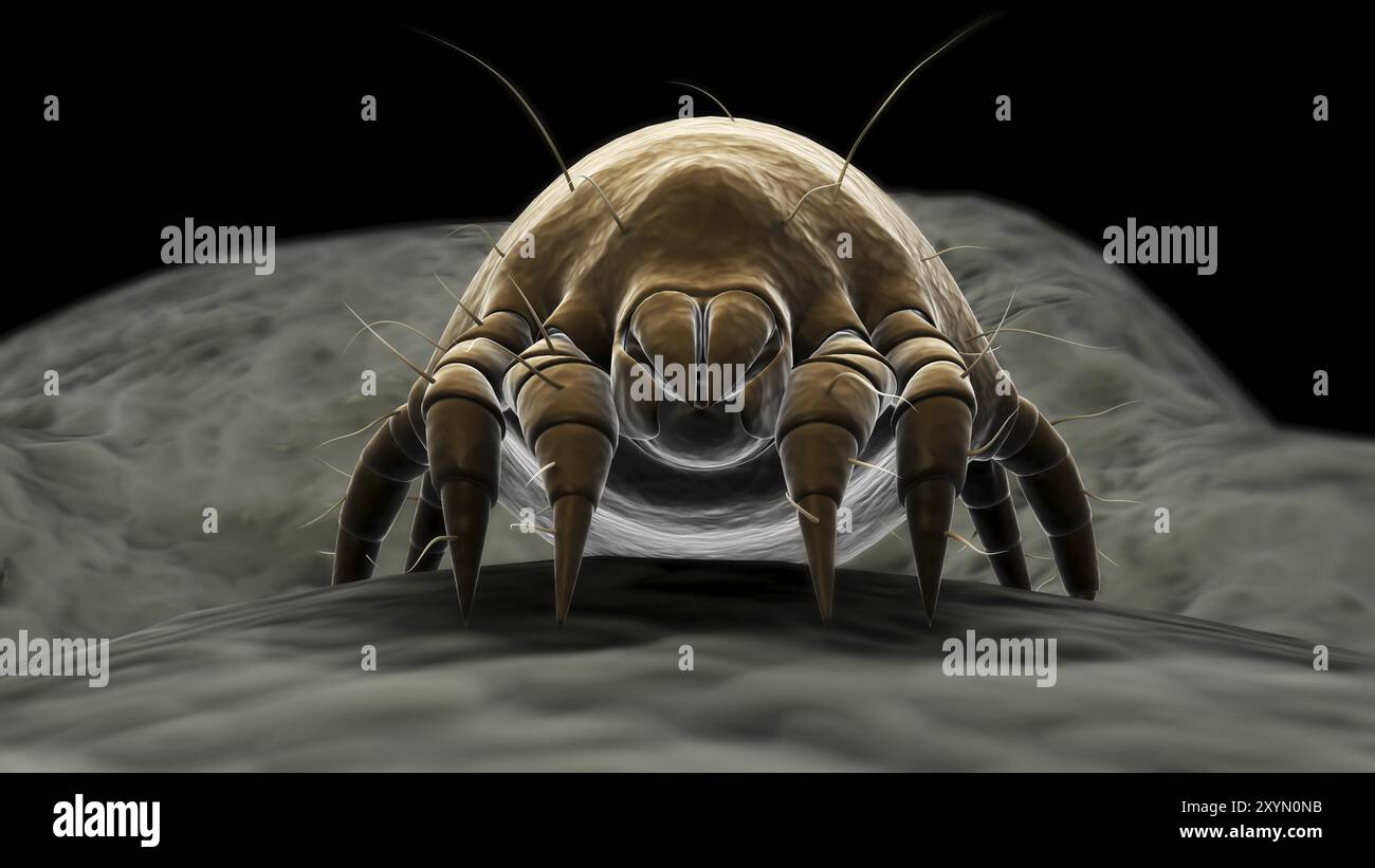 Microscopic environments hi-res stock photography and images - Alamy