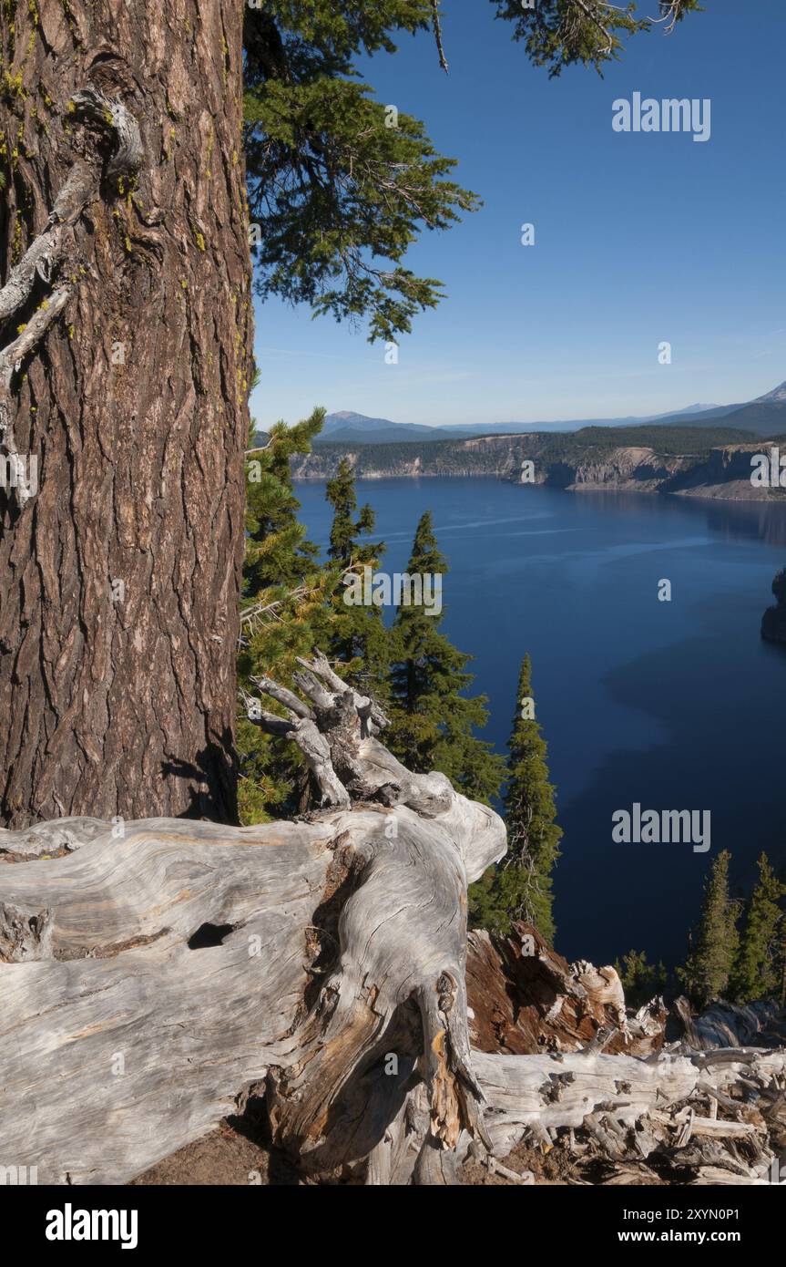 The crater lake of the Mount Mazama volcano in Oregon USA Stock Photo ...