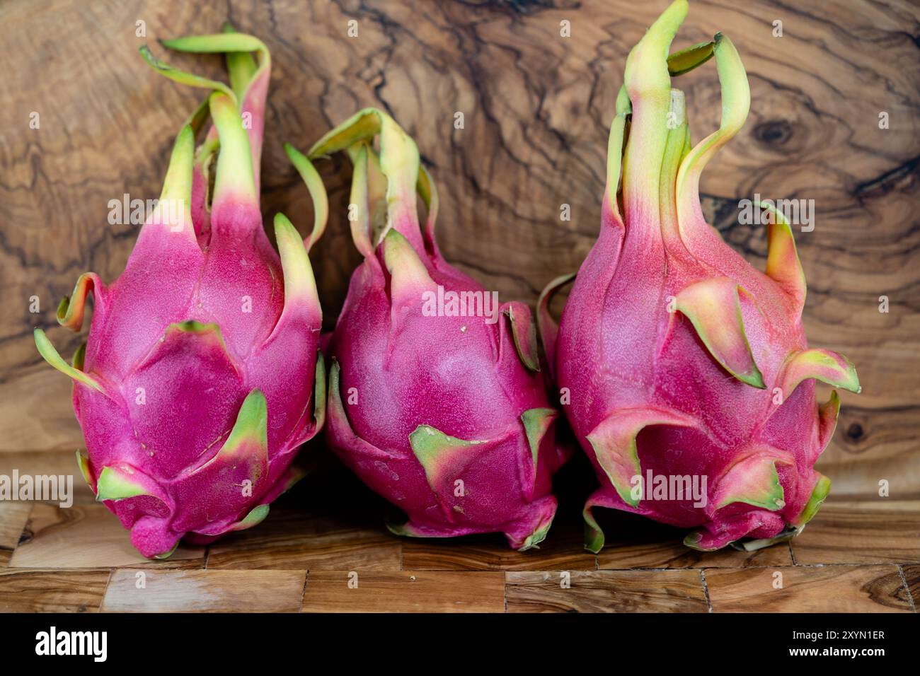 Red pitahaya, Strawberry pear, Night-blooming cereus (Cereus ...
