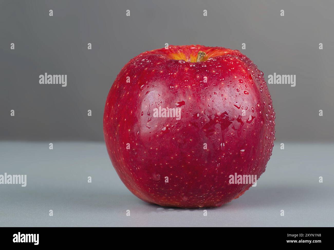 Wet red apple on a gray background Stock Photo - Alamy