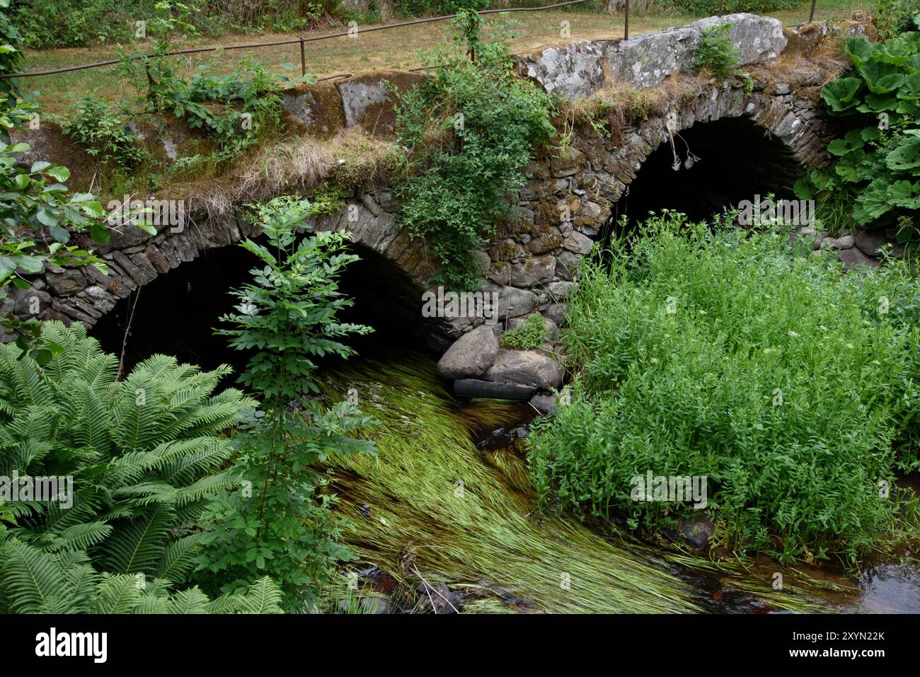 Stone Bridges Over Stream in Sweden Stock Photo - Alamy