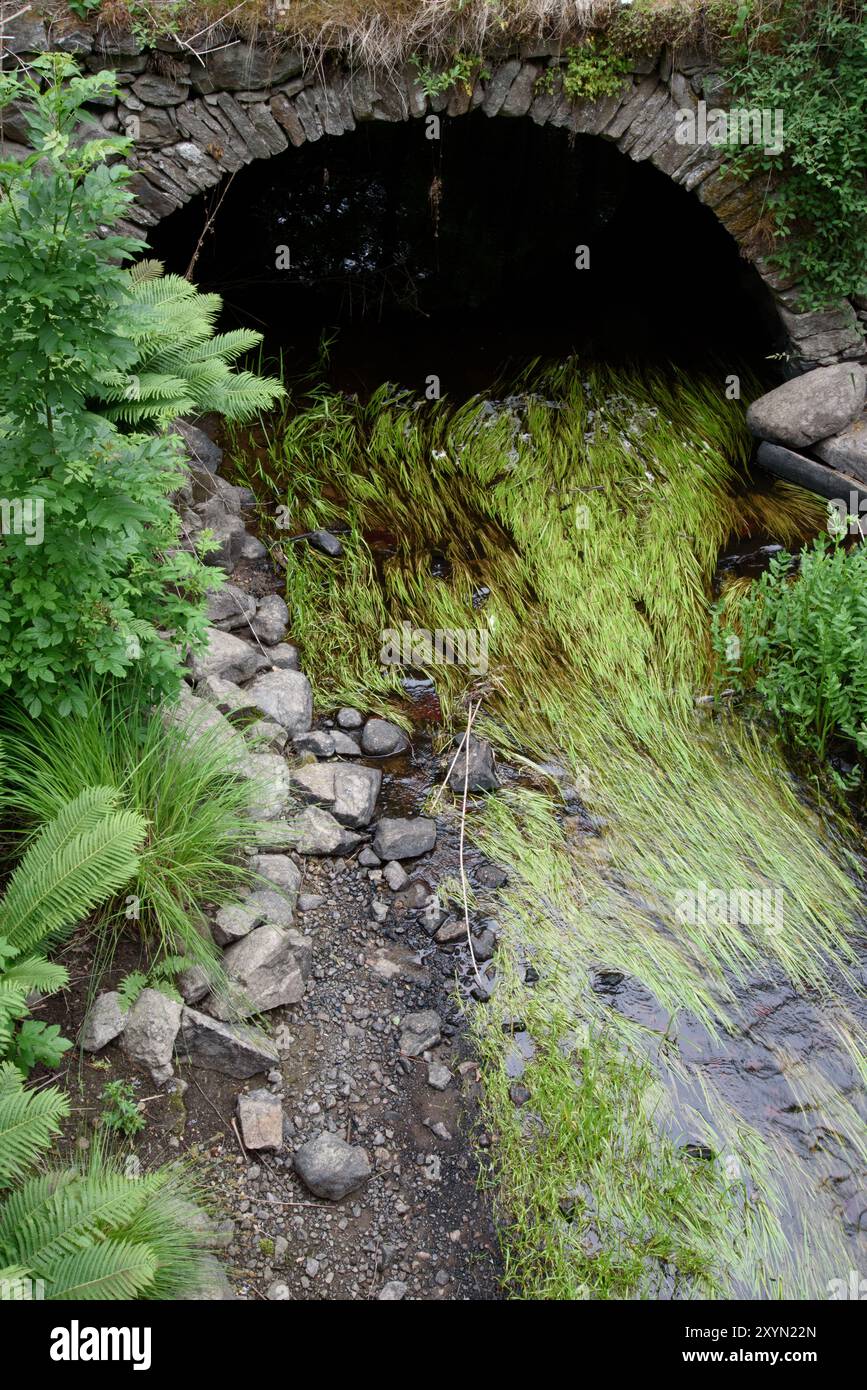 Stone Bridges Over Stream in Sweden Stock Photo - Alamy