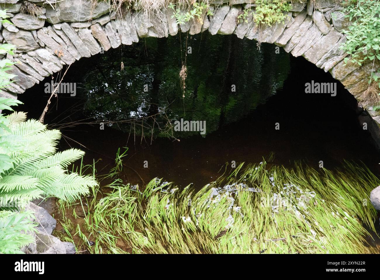 Stone Bridges Over Stream in Sweden Stock Photo - Alamy