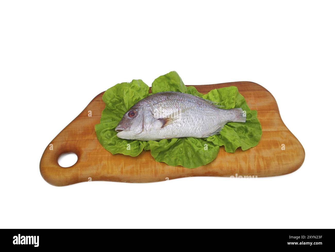 Sea bream, sea bream 14 Stock Photo - Alamy