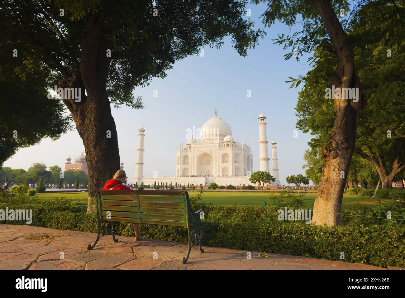 The Taj Mahal seen from a bench through the green frame of grass ...