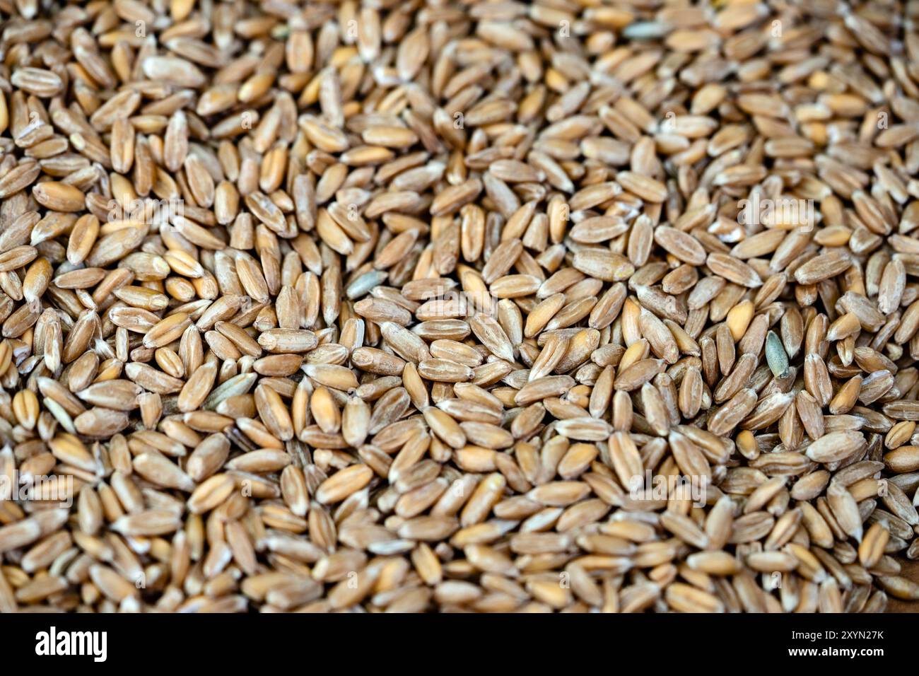 Spelt foods hi-res stock photography and images - Alamy
