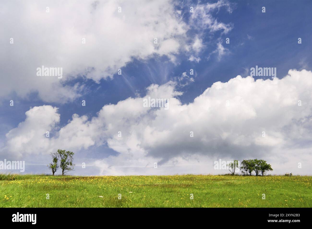 Spring landscape with beautiful cloudy sky Landscape with trees and ...
