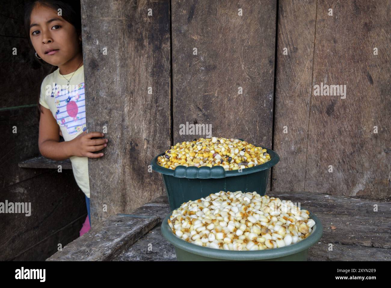 Molienda de maiz, Lancetillo, La Parroquia, Franja Transversal del ...