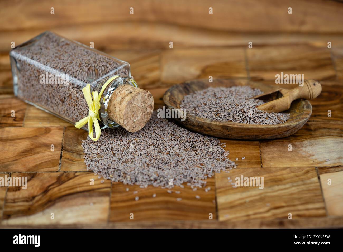 Blond plantain, Desert Indianwheat, Blond psyllium, Ispaghol (Psyllium ...