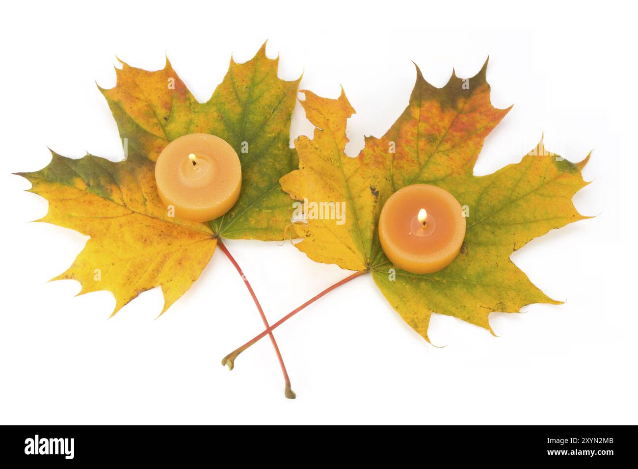 Autumn leaves candles Cut Out Stock Images & Pictures - Alamy