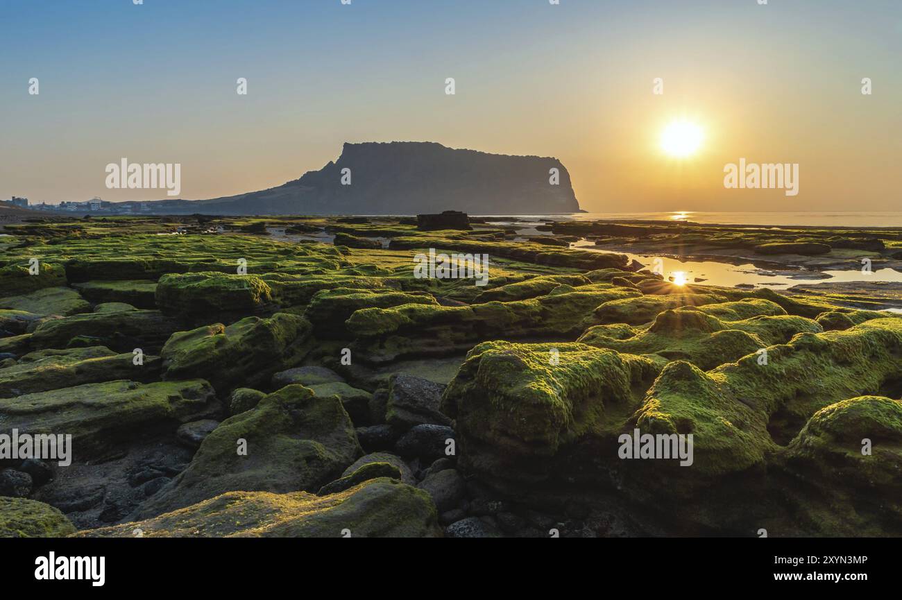Jeju Island South Korea, Sunrise landscape at Seongsan Ilchulbong Stock ...