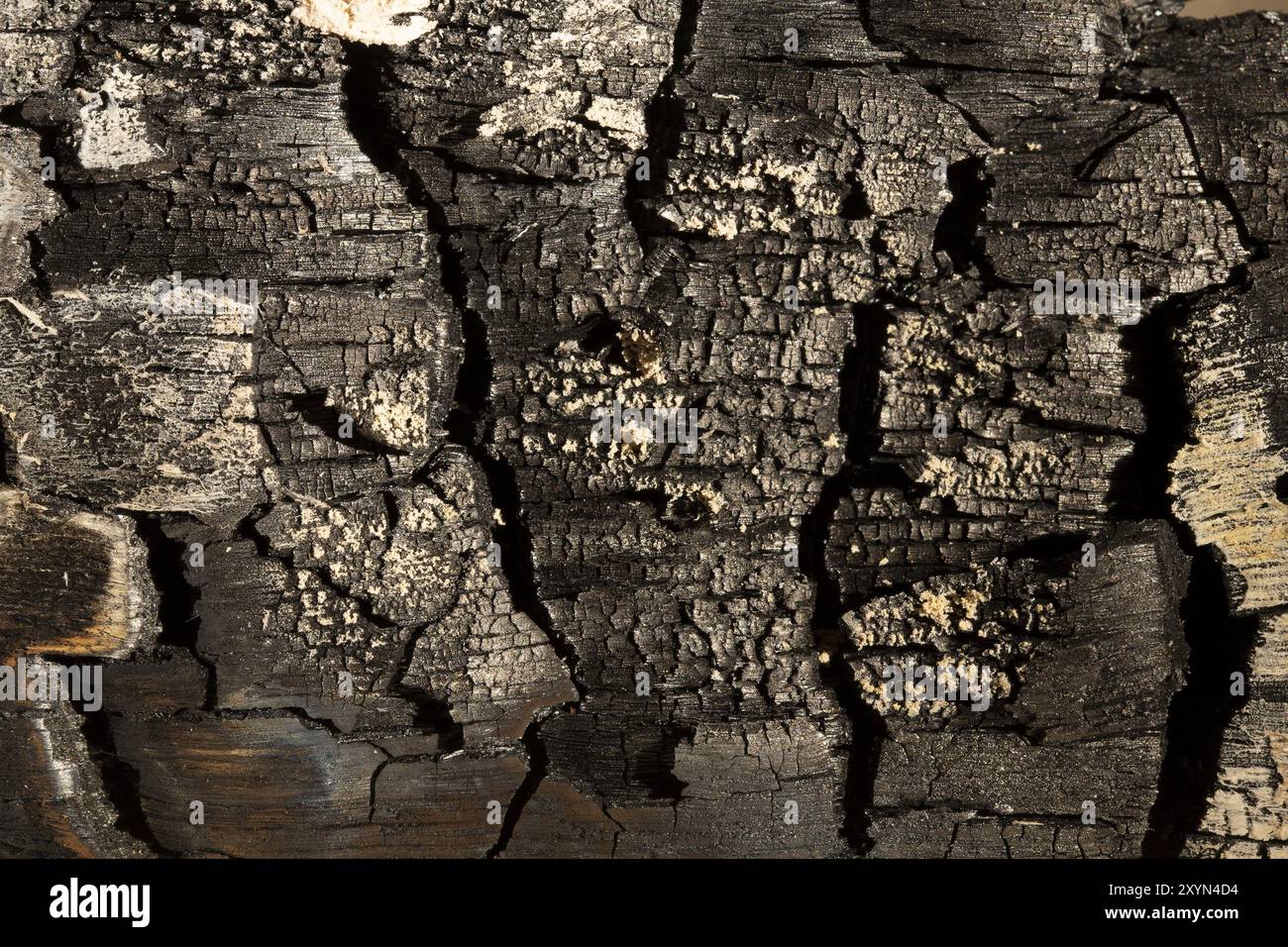 Burnt textures hi-res stock photography and images - Alamy