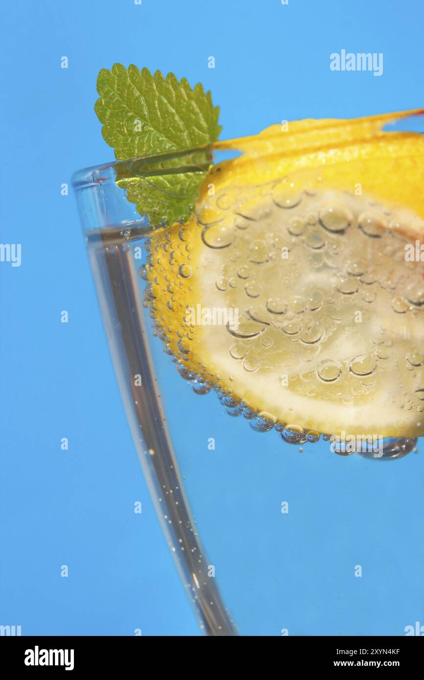 Lemon & mint leaf in sparkling water Citron and mint in sparkling water ...
