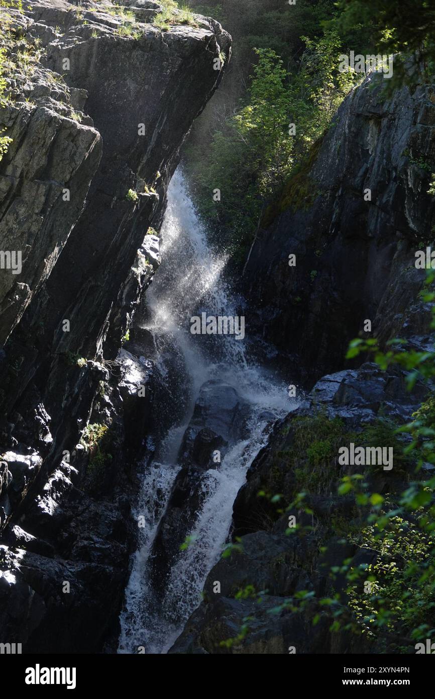 Waterfall pine hi-res stock photography and images - Alamy