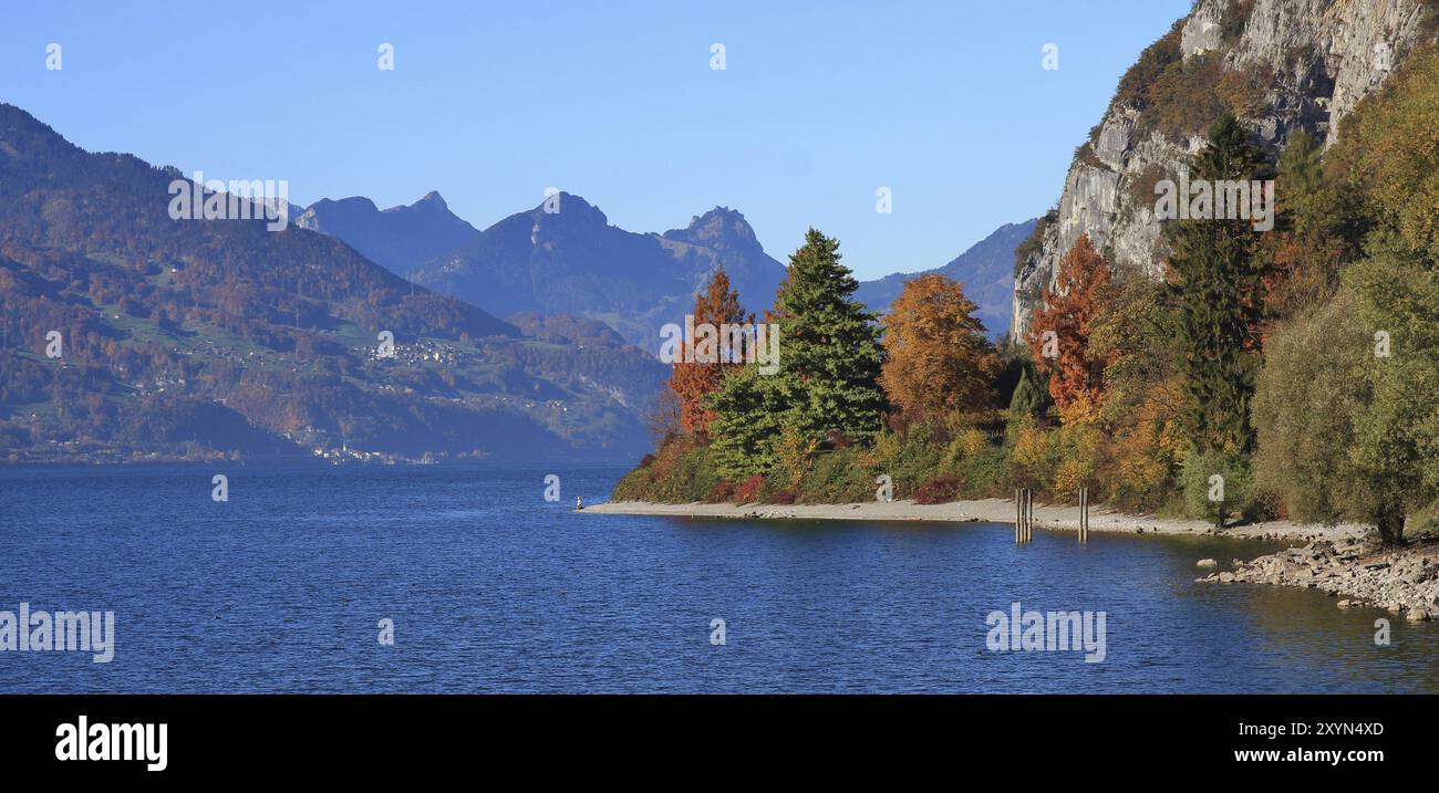Clear autumn day at lake Walensee. Multi colored trees Stock Photo - Alamy