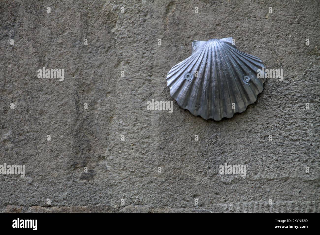 Camino scallop shells hi-res stock photography and images - Alamy