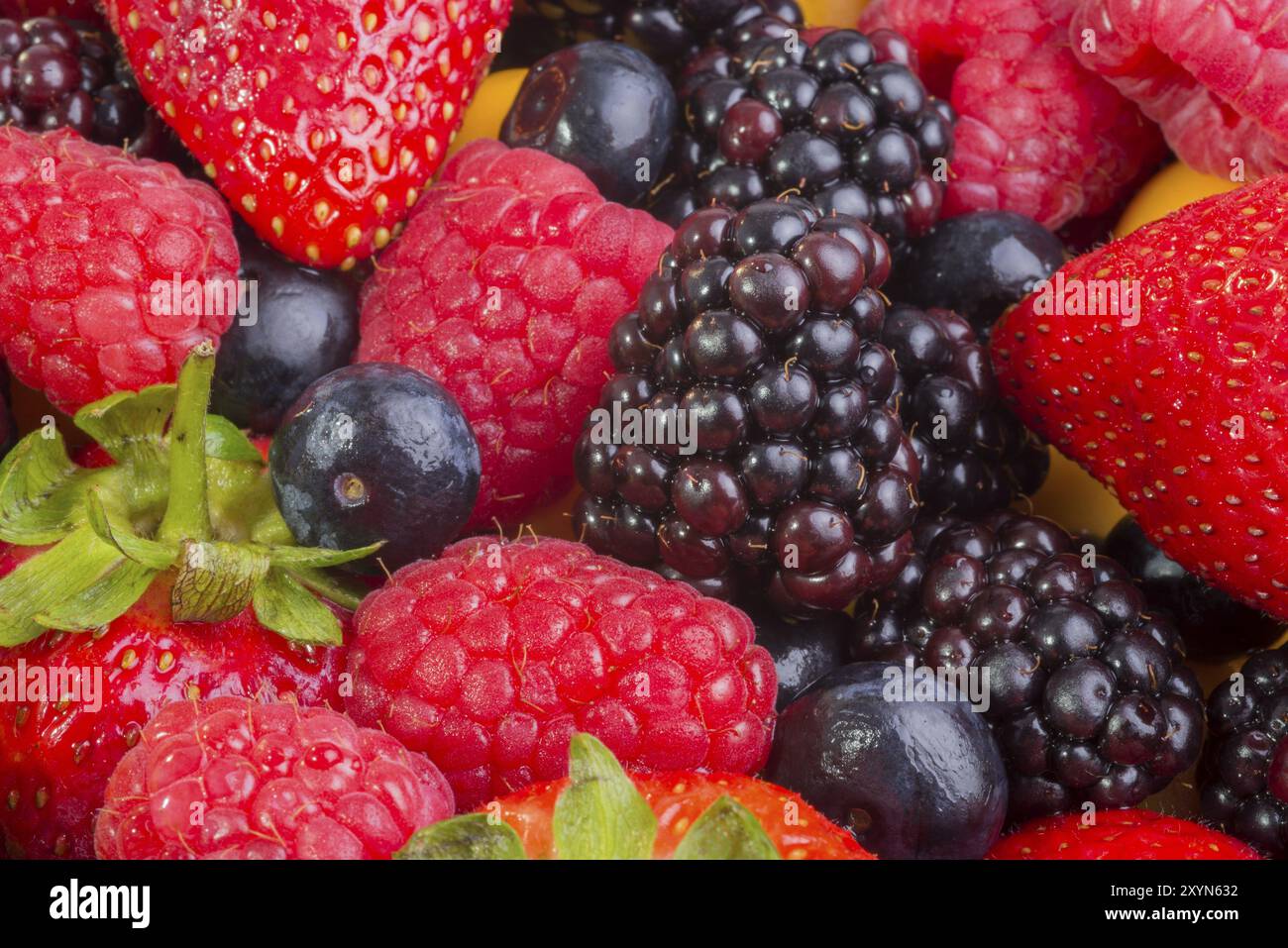 Up Close view of fresh berries of different types, all mixed together ...