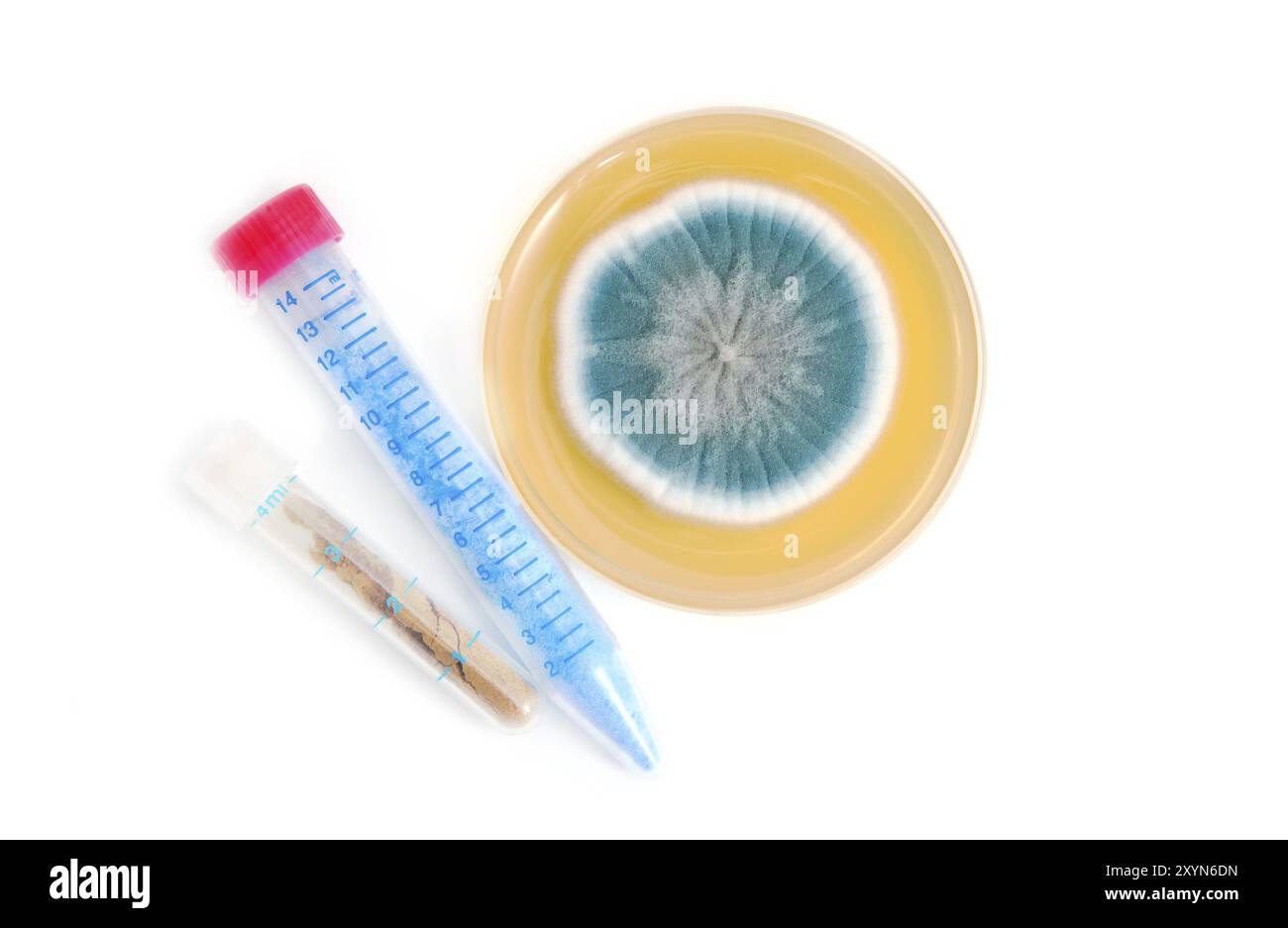 Compounds in Cut Out Stock Images & Pictures - Alamy