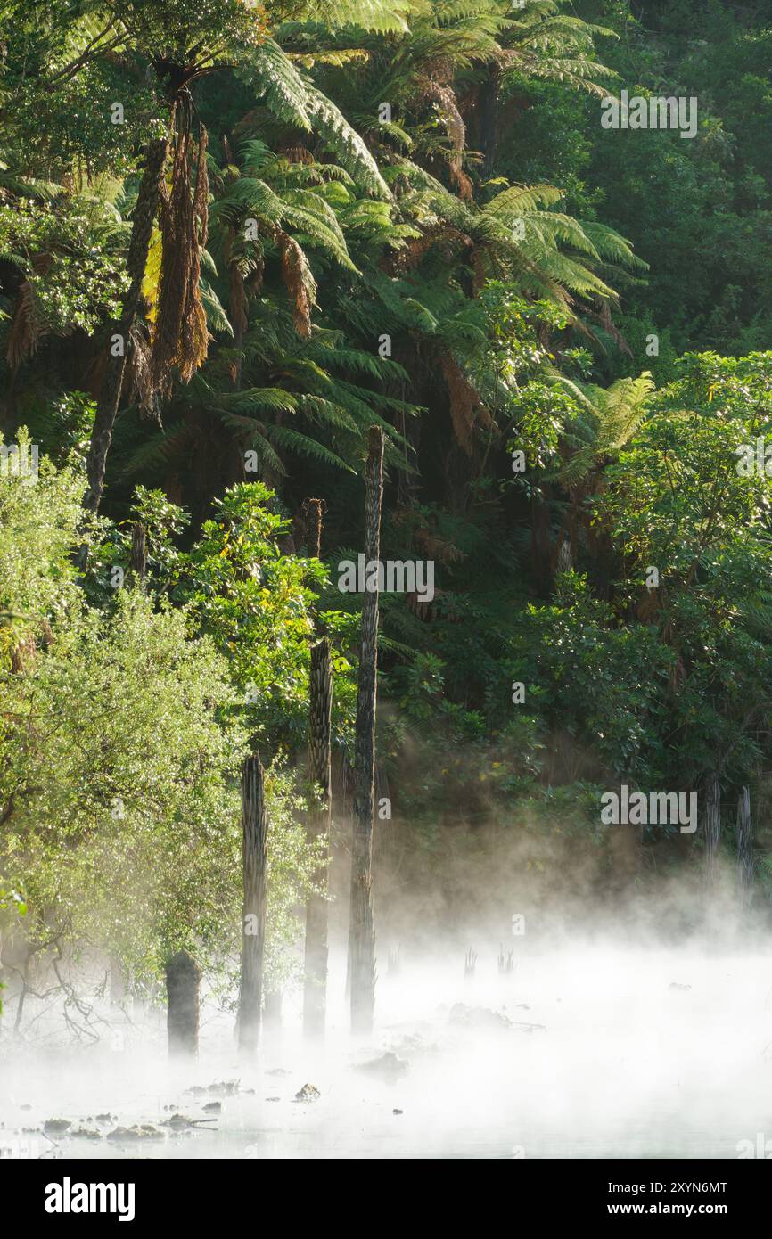Taupo hot springs hi-res stock photography and images - Alamy