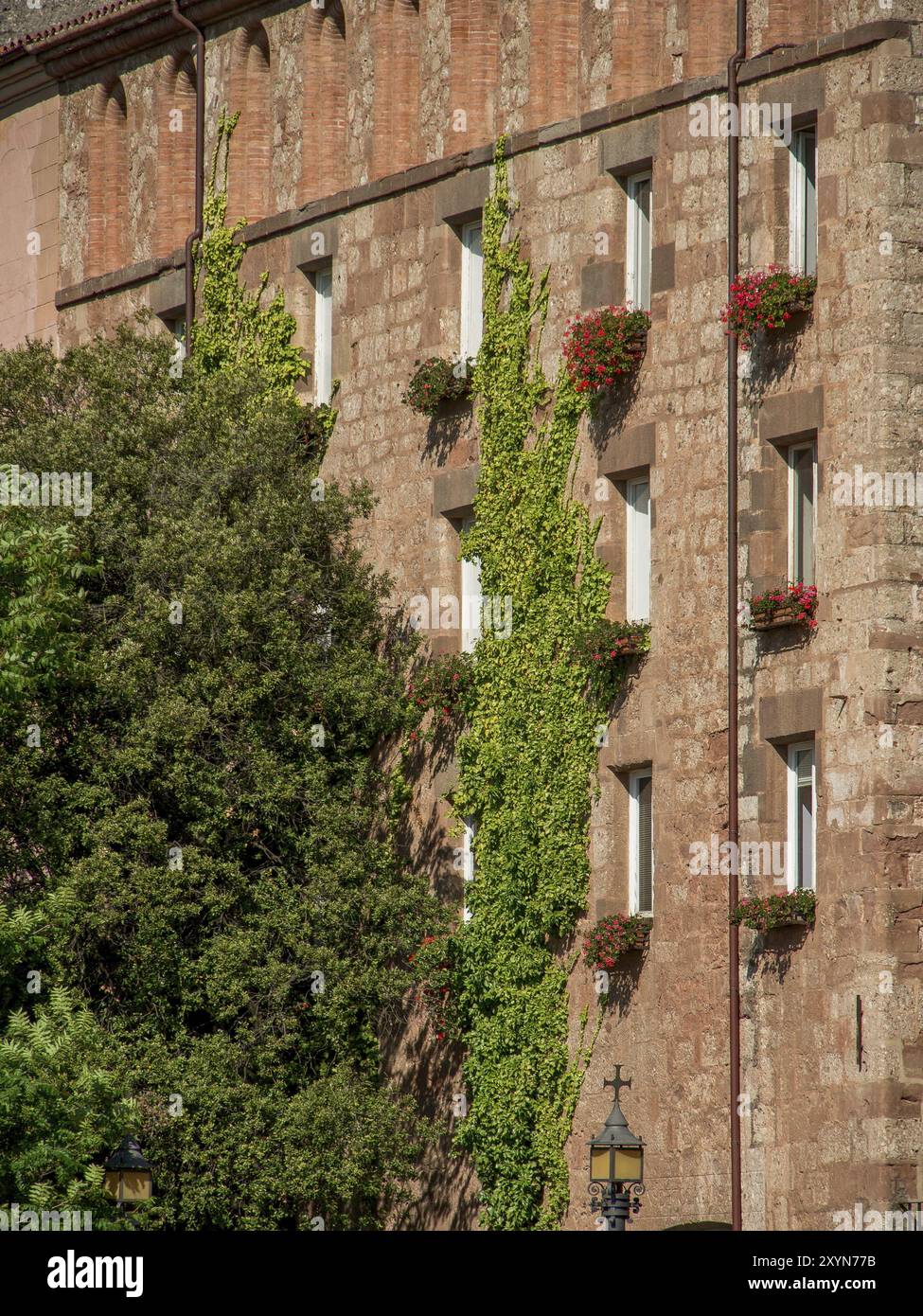 Historic building with ivy-covered walls and small windows, montserrat ...