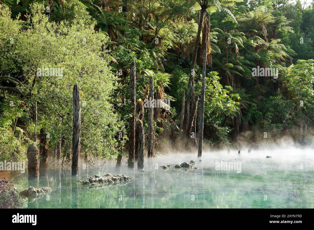 Taupo hot springs hi-res stock photography and images - Alamy