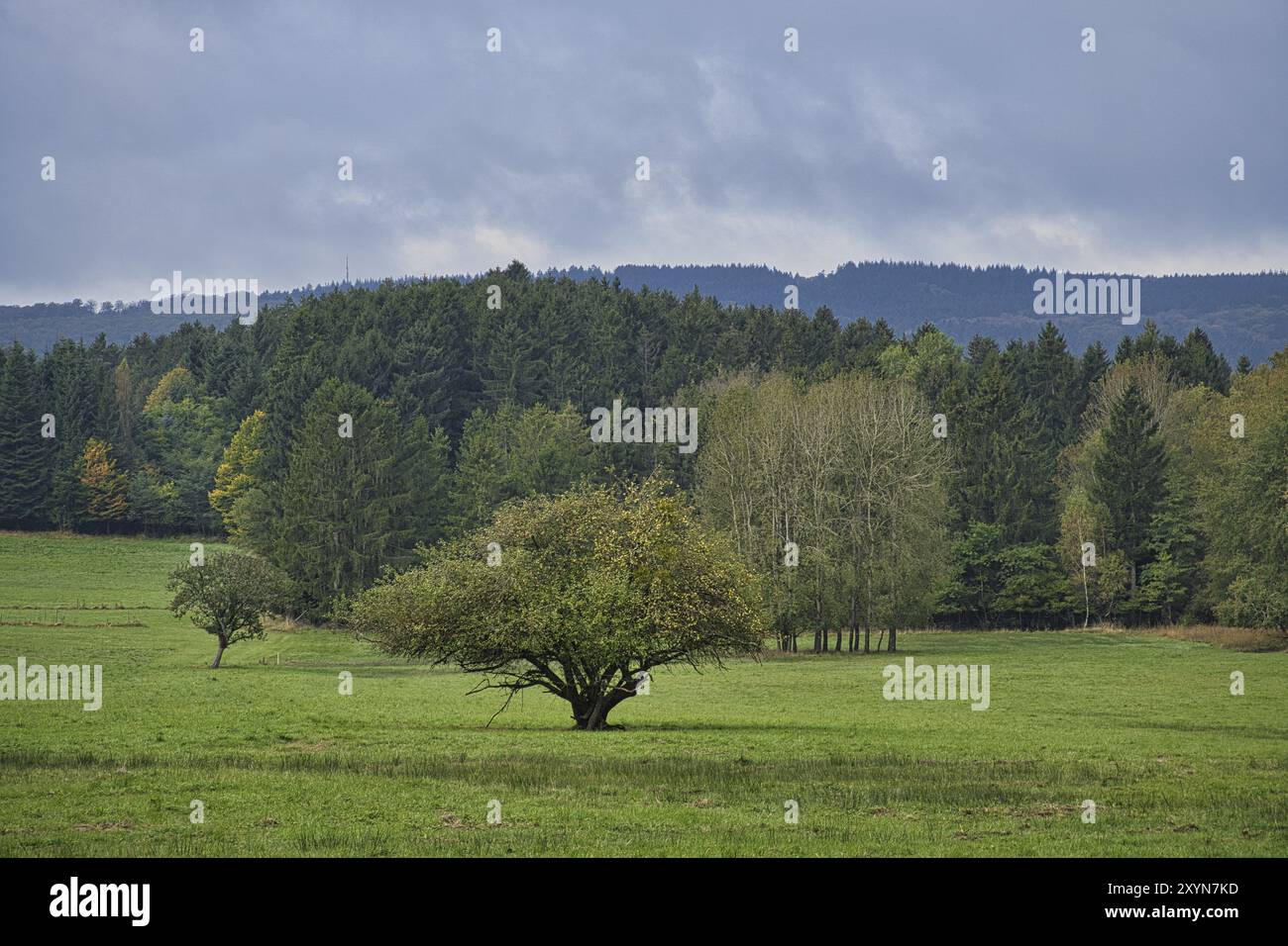 Sky landscape landscapes nature no one has lawn farm outdoors hi-res ...