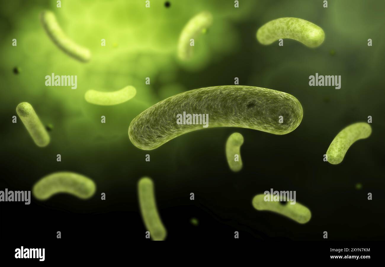 Bacteria section hi-res stock photography and images - Alamy