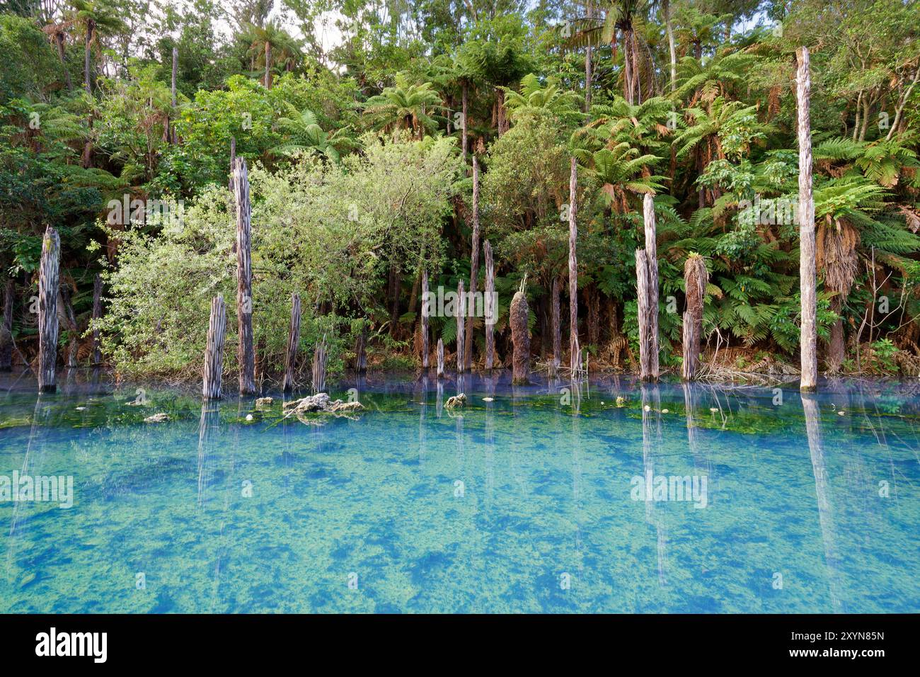 Taupo hot springs hi-res stock photography and images - Alamy