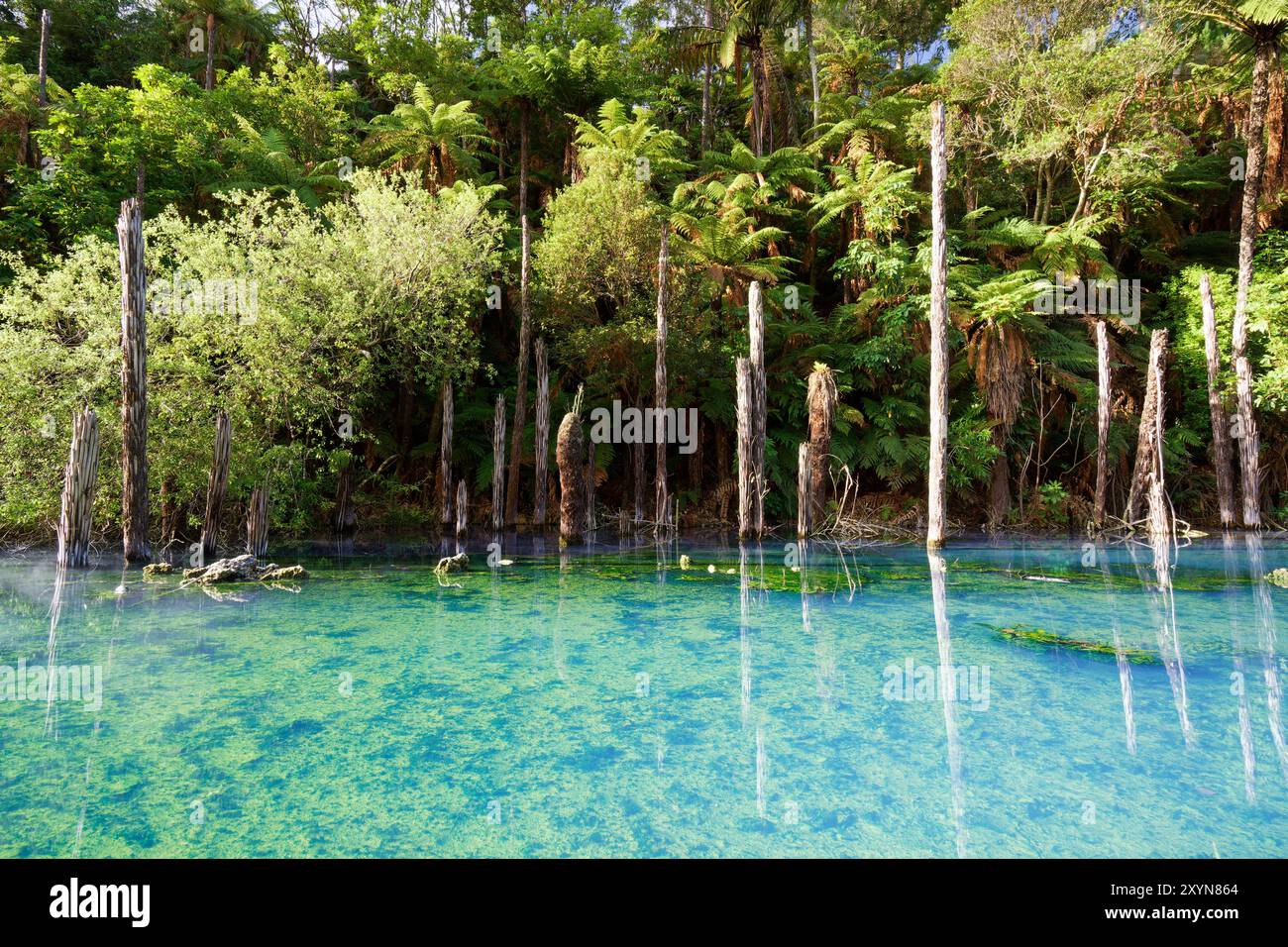Taupo hot springs hi-res stock photography and images - Alamy