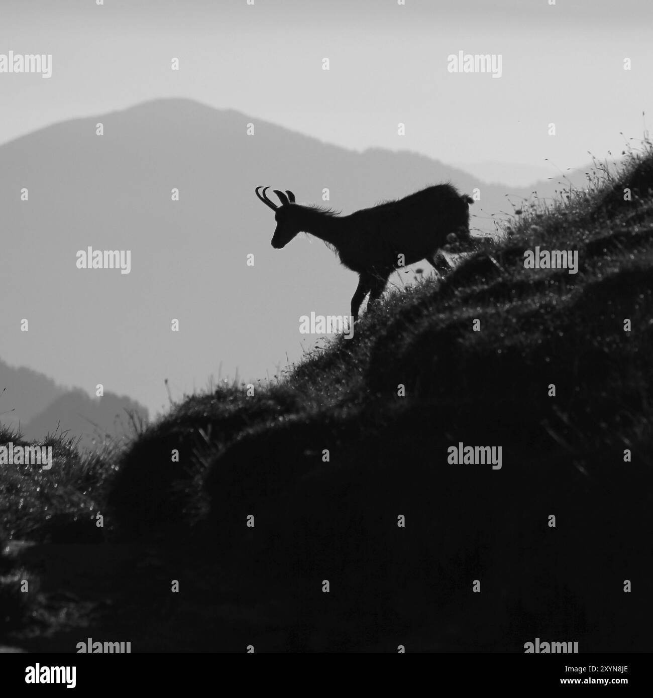 O ridge Black and White Stock Photos & Images - Alamy