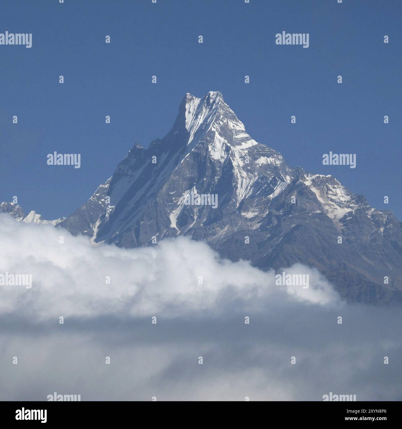 Mount machhapuchchhre hi-res stock photography and images - Alamy