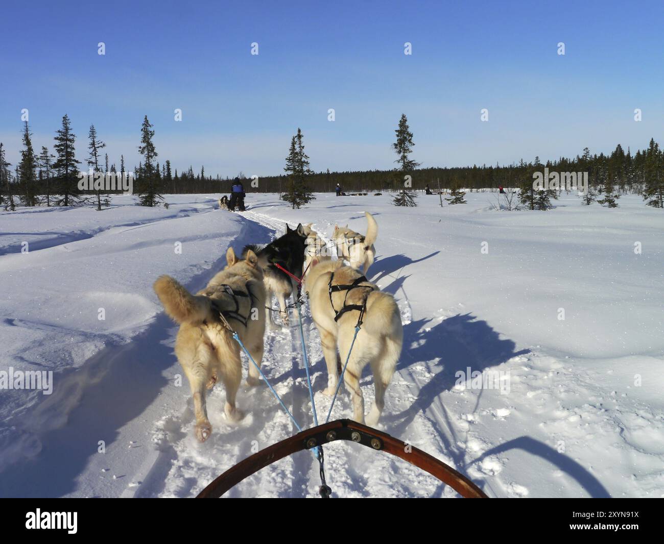 Swedish lapland sledge hi-res stock photography and images - Alamy