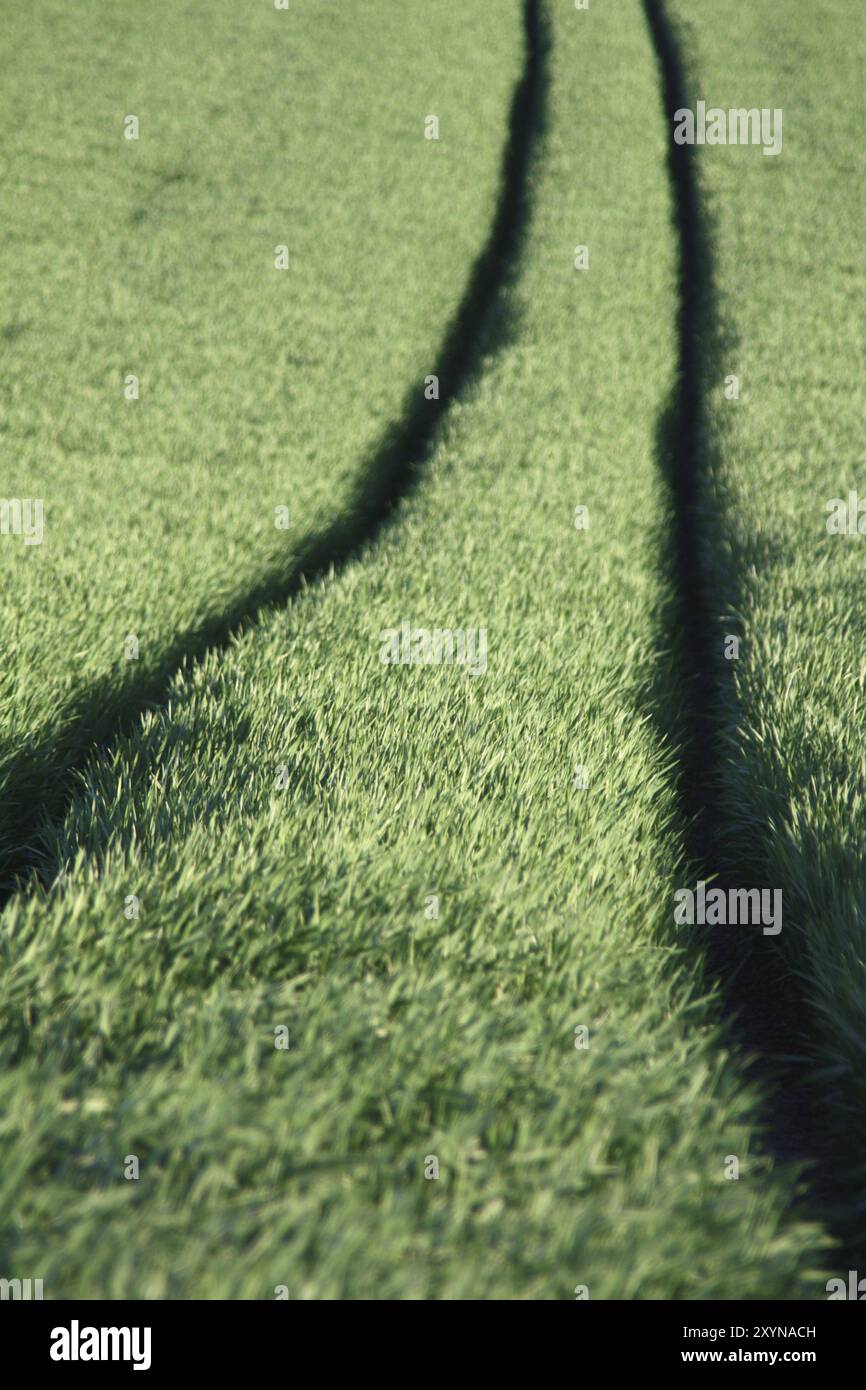 Tractor ruts hi-res stock photography and images - Alamy