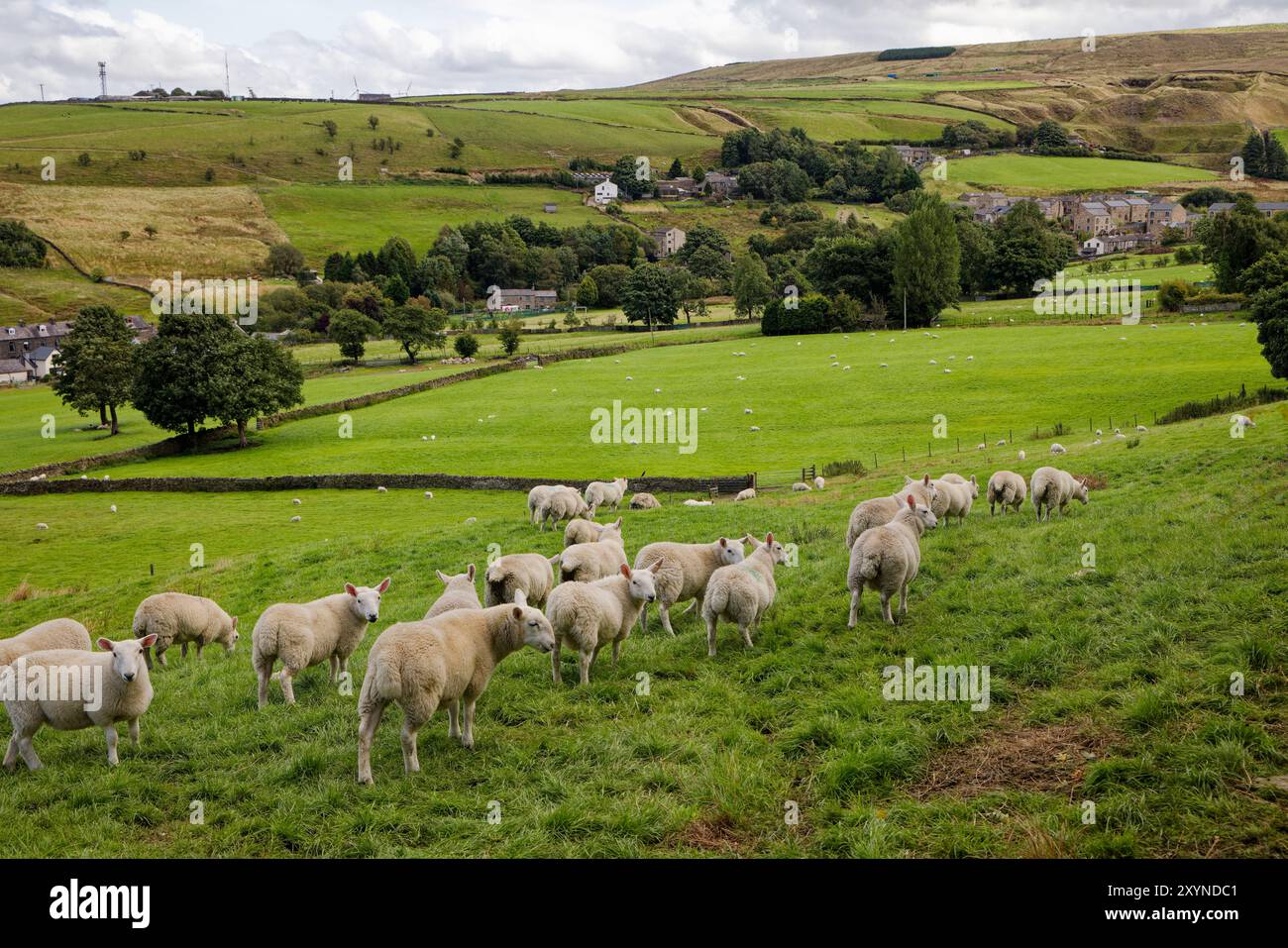 Rossendale hi-res stock photography and images - Alamy