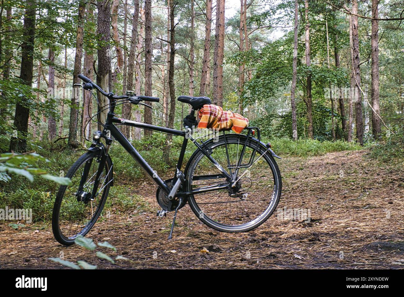 Relaxed athletic fit cyclist riding hi-res stock photography and images ...