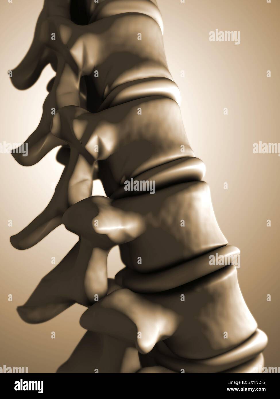 Conceptual image of human backbone Stock Photo - Alamy